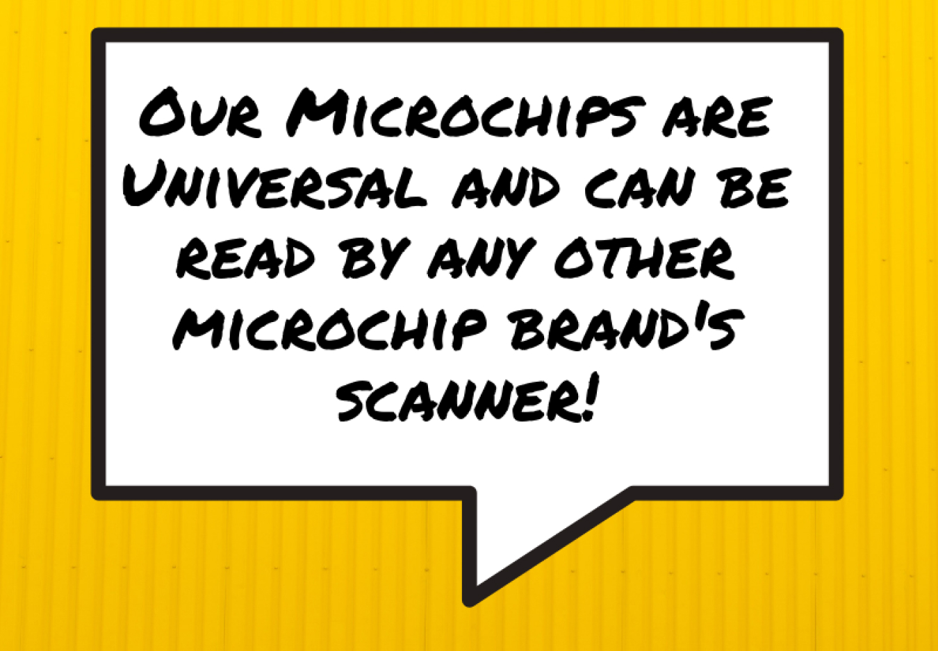 Everything you need to know about pet microchips