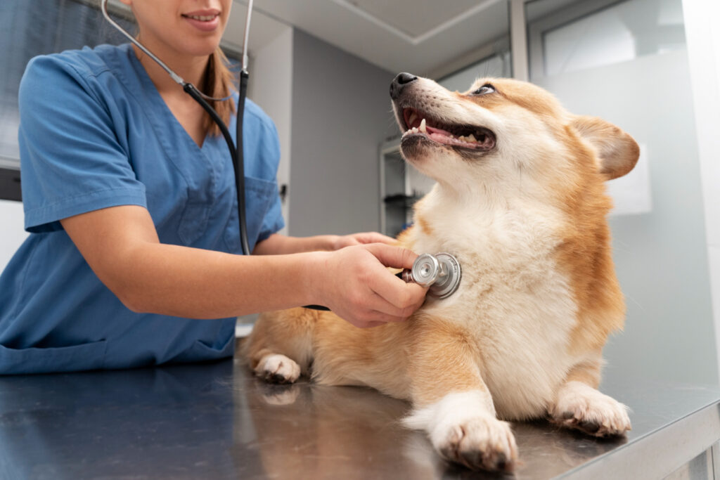 Canine Health Record: Track Your Dog's Health Like a Pro!
