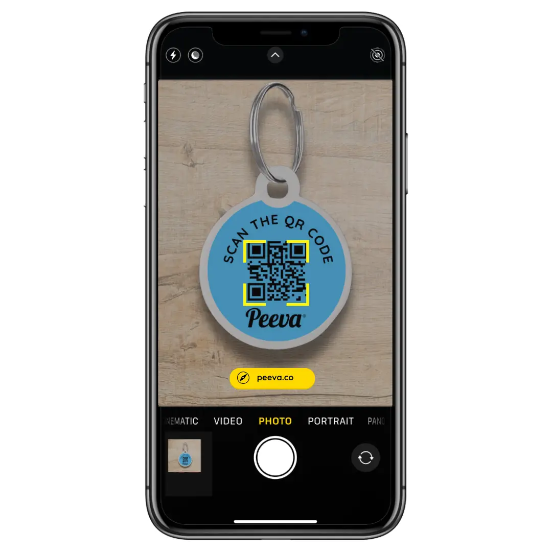 Enhance Pet Safety With Innovative QR Pet Tag Technology