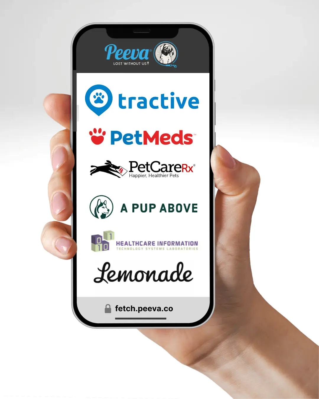5 Spectacular Reasons to Join Peeva's Affiliate Program for Pet Owners