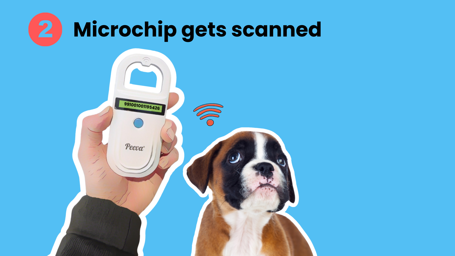 Register Any Pet Microchip | Achieve Peace Of Mind With Peeva Central ...